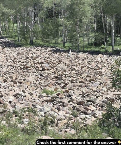 Found Her Yet? Here’s the Answer! – Test Your Vision with This Tricky ...