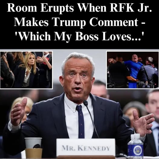 Room Erupts When RFK Jr. Makes Joke About Trump – Story News