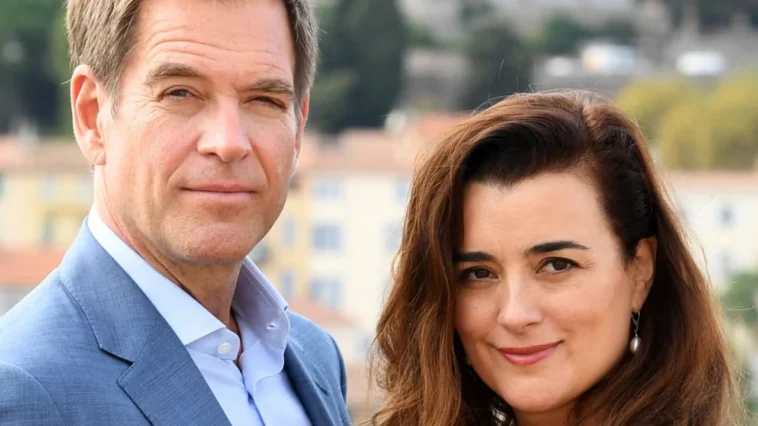 NCIS Reveals Tony & Ziva Spinoff Release Window – and It’s Sooner Than ...