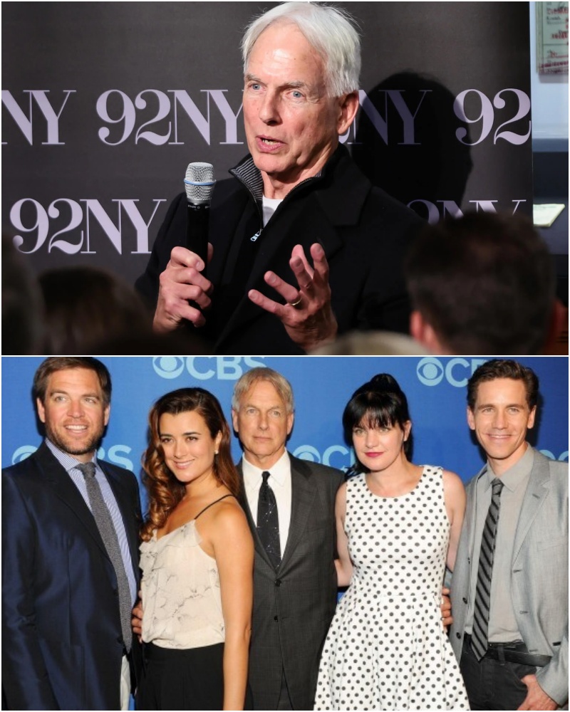 “Did He Just Say What We Think?!” Mark Harmon Drops Cryptic Hint About ...