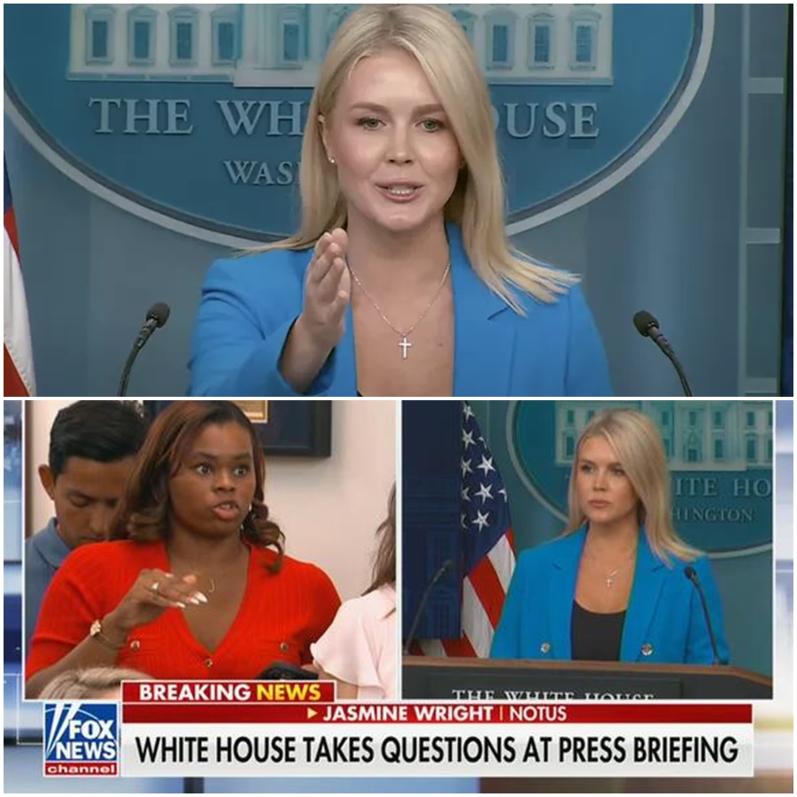 “WHAT A STUPID QUESTION!” — Karoline Leavitt EXPLODES on Reporter During Live Press Conference ...