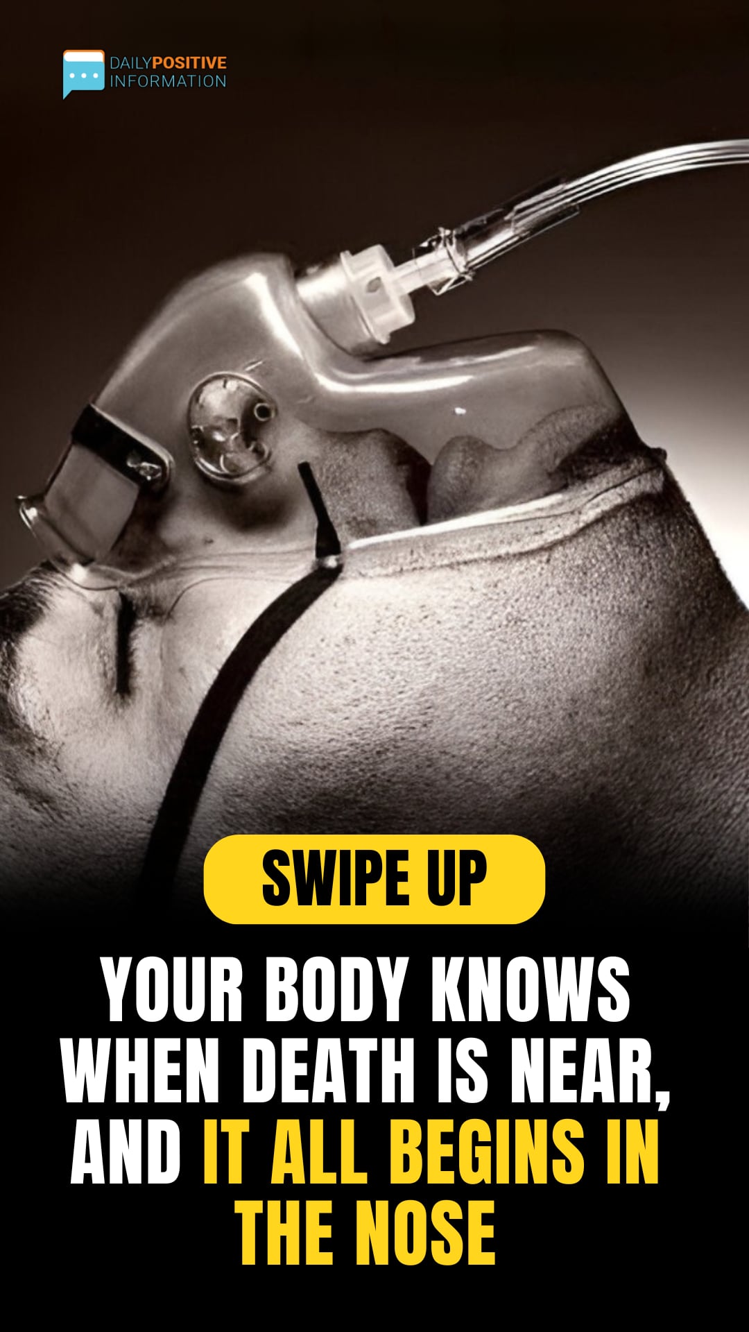 A Study Reveals: Your Body Knows When Death Is Near, And It All Begins ...