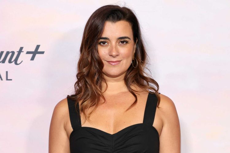 Cote de Pablo Says Exploring Motherhood in NCIS: Tony & Ziva ‘Was a ...