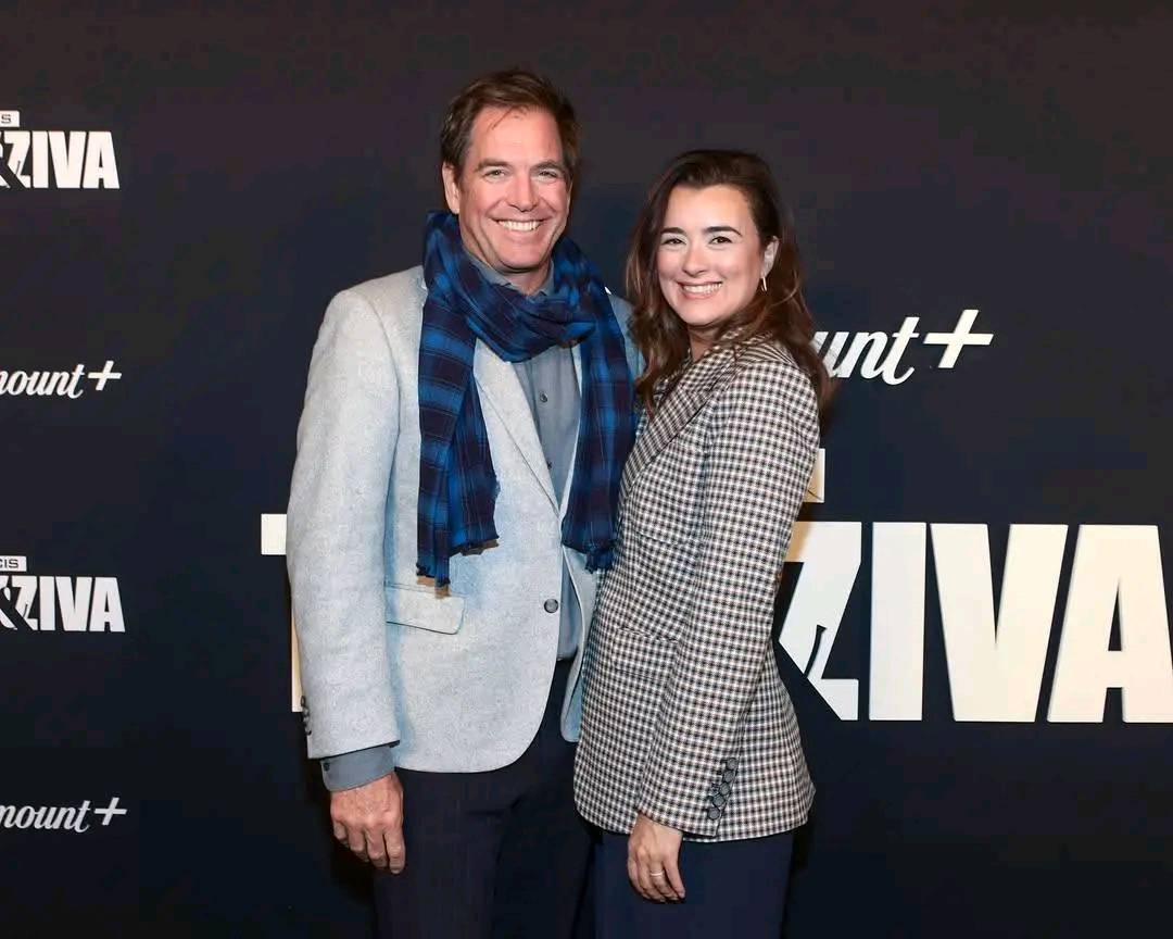 Inside the ‘NCIS: Tony & Ziva’ Finale Setup, Episode 9 Fallout, and ...