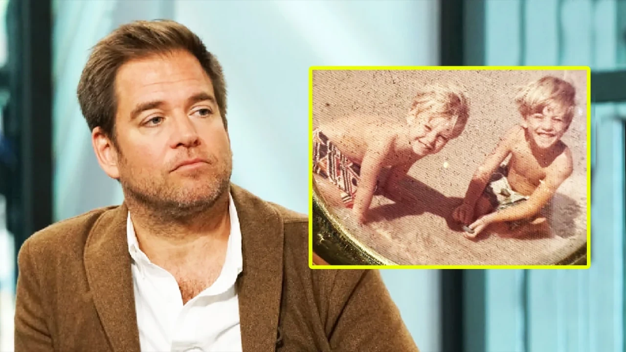 NCIS star Michael Weatherly, Has Announced the Unfortunate Death of His ...